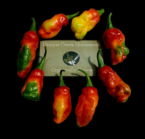 Fatalii Pepper Seeds 125,000-300,000 Scoville SHU Chili | Unique Creek ...