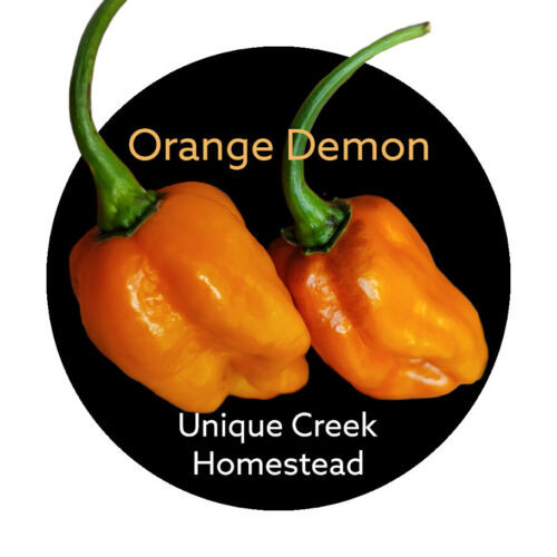 Orange Demon Pepper Seeds 1,000,000+ Scoville SHU | Unique Creek Homest