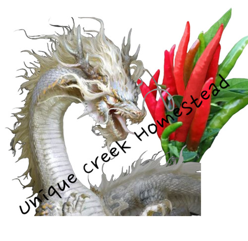 Thai Dragon HOT Pepper Seeds 50,000-100,000 Scoville SHU Chili | Unique ...