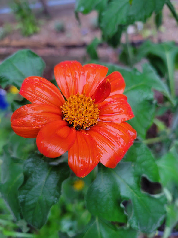 Shop | Unique Creek Homest