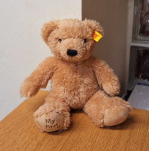 Steiff My First Steiff Brown Bear - 663086 | Harrodsteddybears