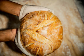 Bakery and Specialties | Gianni's Group