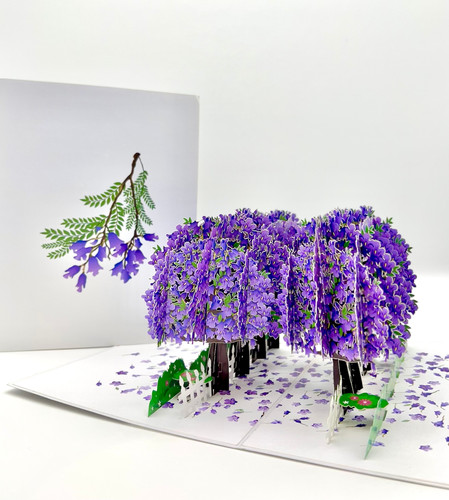 Jacaranda trees pop up card | Three Dee Cards