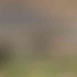 Elkstone Studios - Modern Studios Redefining Rural Office Space ...