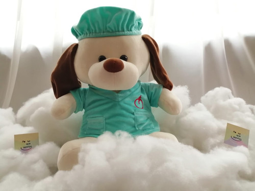 HOMERO el perro | Pa' que sonrías