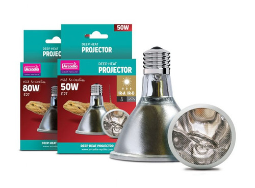 Arcadia Deep Heat Projector Lamp 50w-80w | Birmingham Reptiles