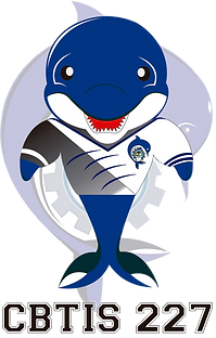 INICIO | cbtis227delfines