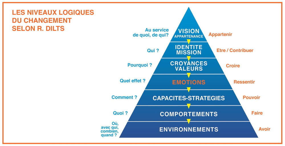 LA PYRAMIDE DES NIVEAUX LOGIQUES