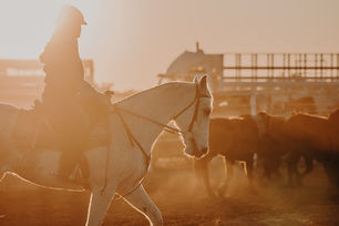 The Stonehenge Bushmans Carnival | Rodeo | Stonehenge QLD, Australia