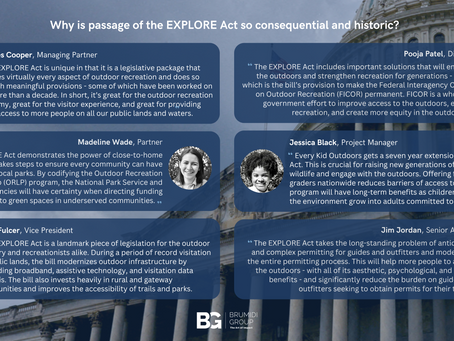 Brumidi Team Insights