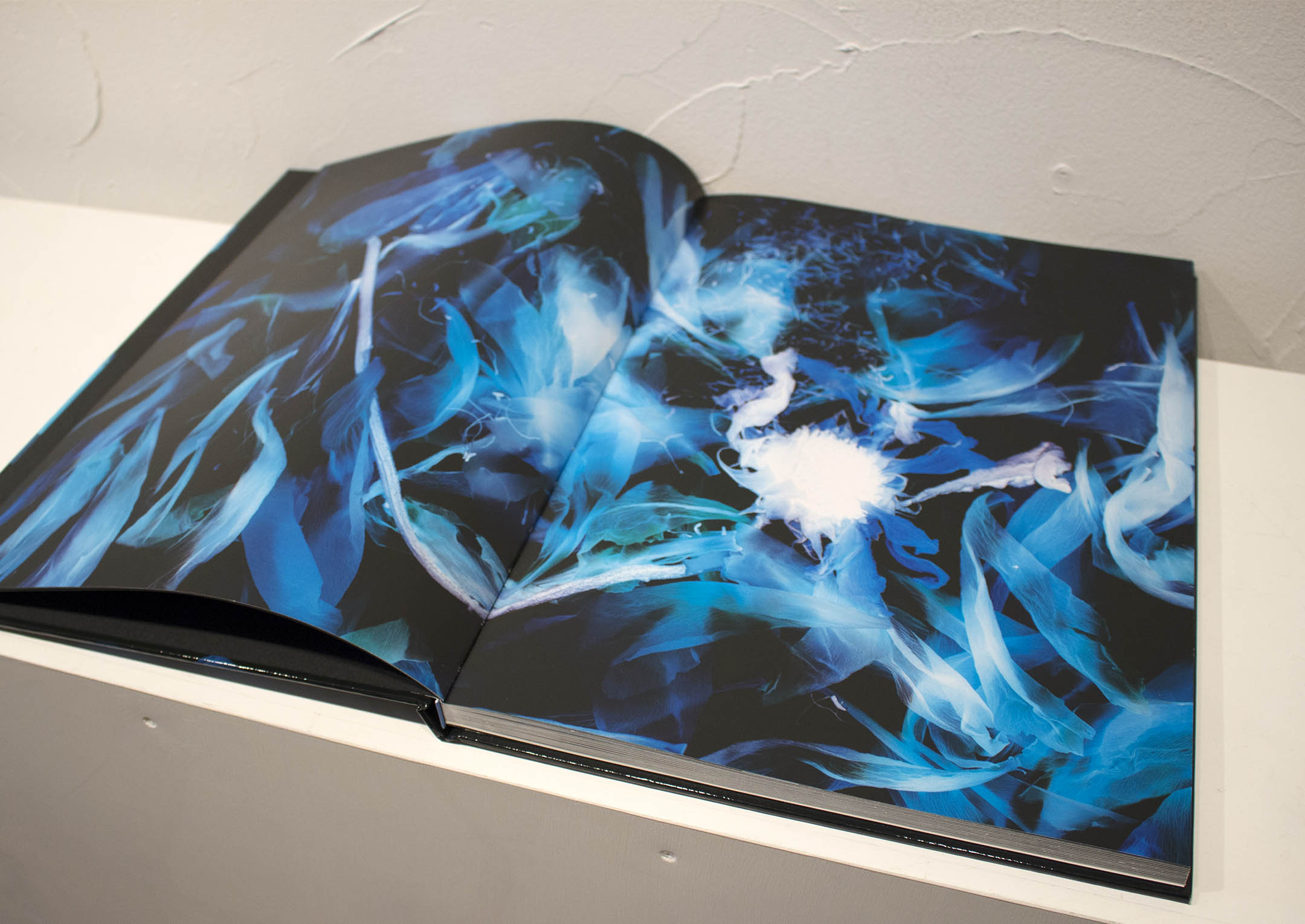 Yoichiro Nishimura | Blue Flower