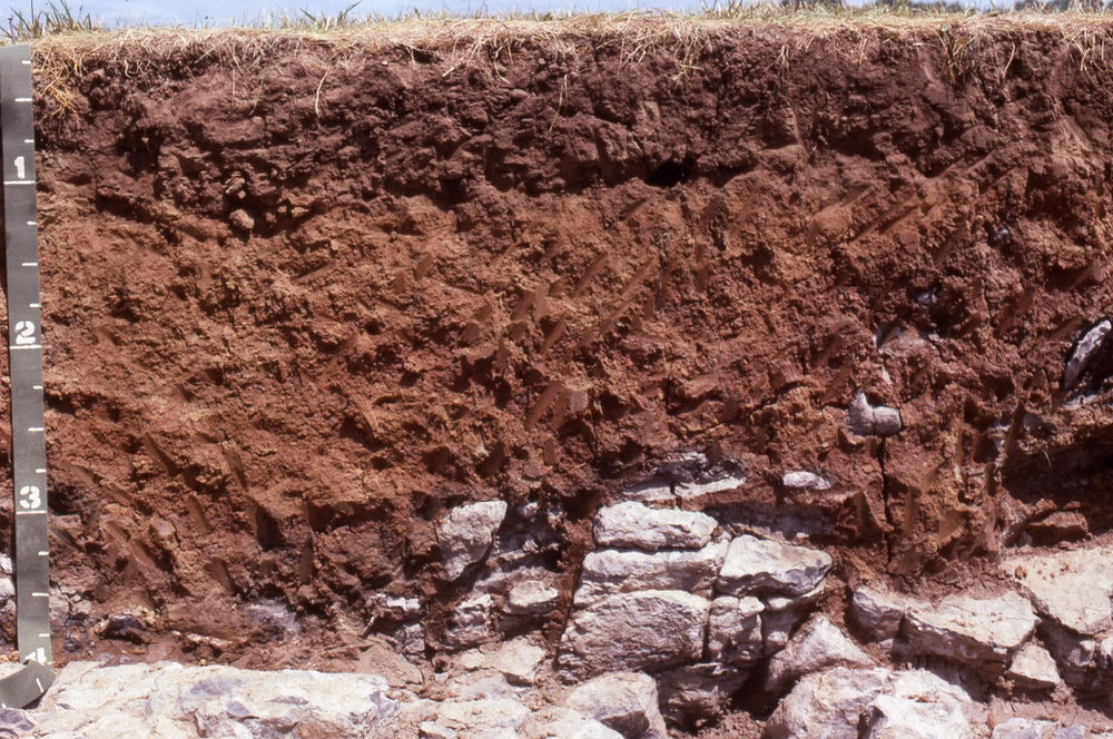 The Soils of the Spring Creek Watershed