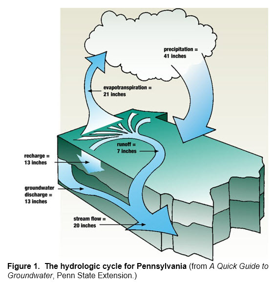 The Importance of Forests to Water