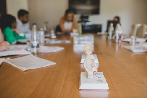 1:1 Earigator Training With Charlotte | The Ear Nurse