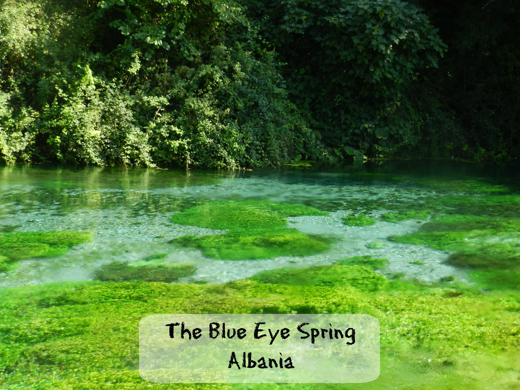 The wonders of the Blue Eye spring in Albania