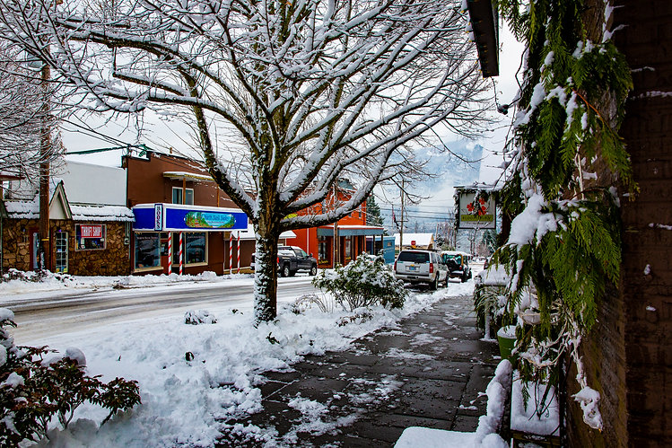 Stevenson Downtown Association