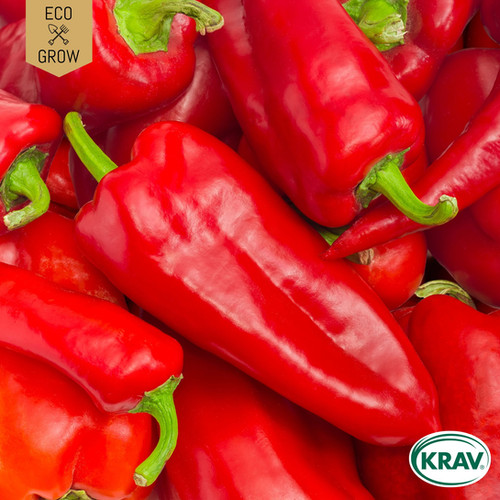 KÖP SPETSPAPRIKA - CORNO DI TORO ROSSO FRÖN ONLINE