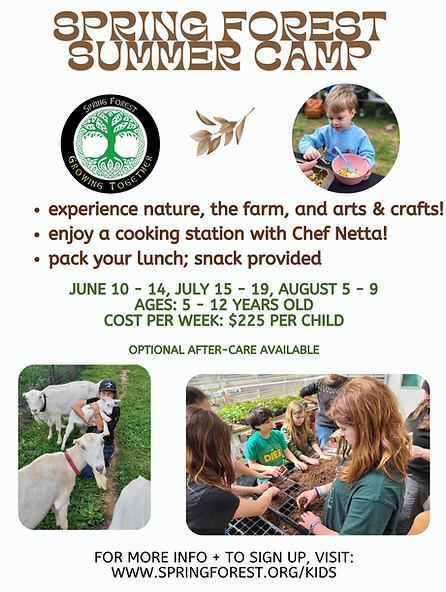 Farm + Forest Summer Camp | Spring Forest