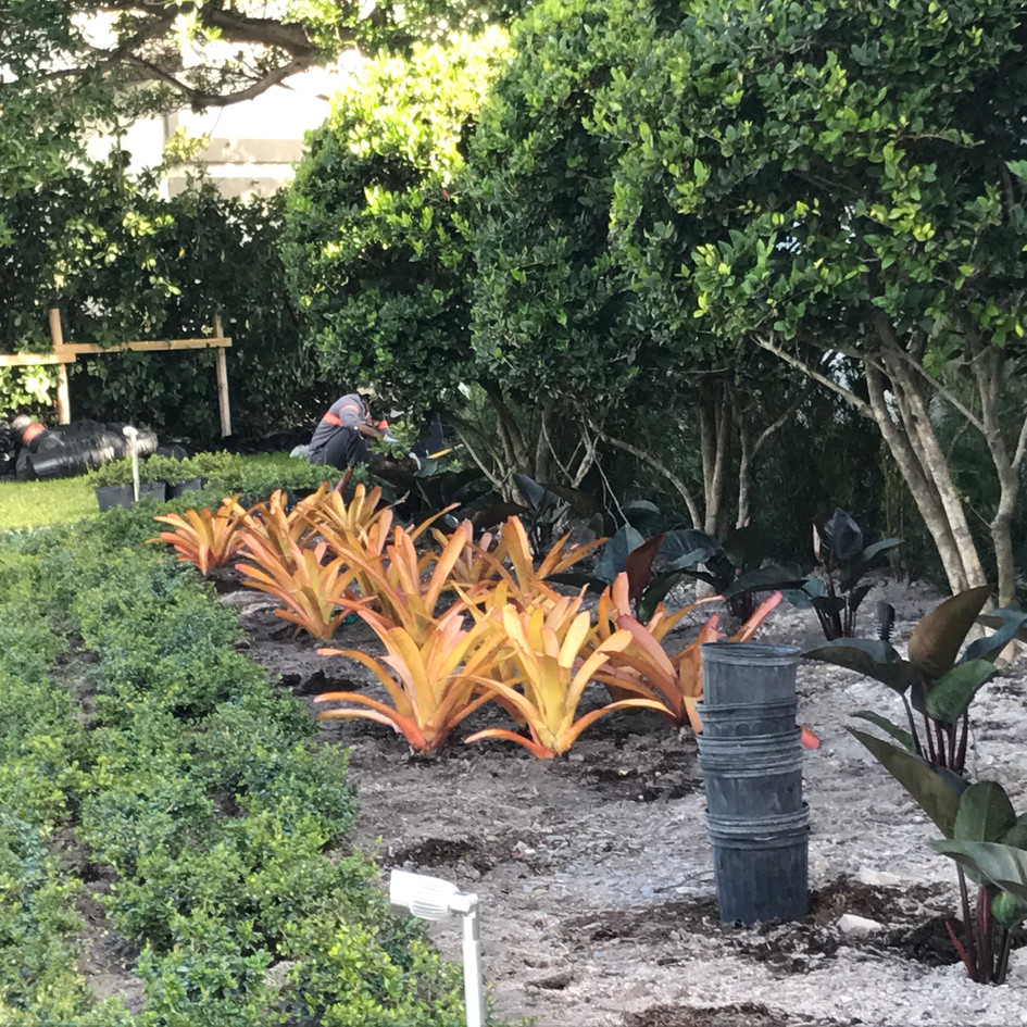 Green Earth Environmental | High end commercial landscaping | Florida
