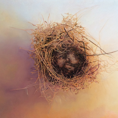 Paintings Currently Available | Tilly Woodward