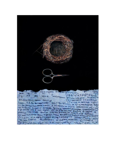Nest Scissors Stats Print | Tilly Woodward