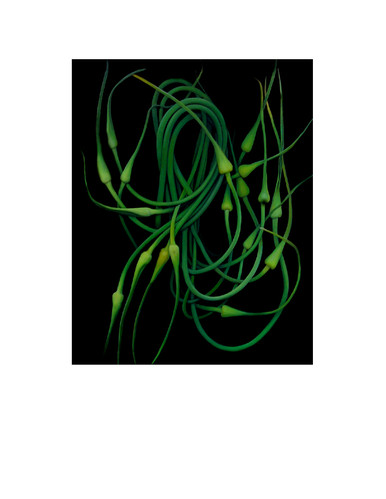 Scapes Print | Tilly Woodward