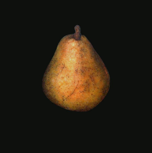 Single Pear Card | Tilly Woodward