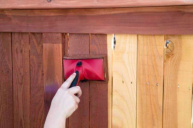 7 Cara Membasmi Rayap Kayu