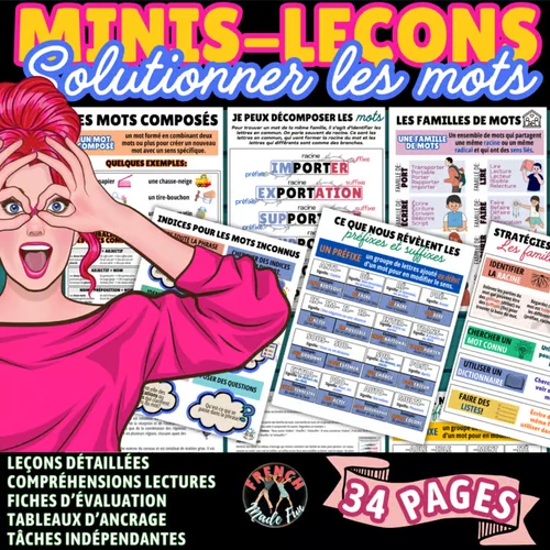 MINI-LEÇON/ATELIER DE LECTURE: VOCABULAIRE TECHNIQUE/SOLUTIONNER MOTS ...