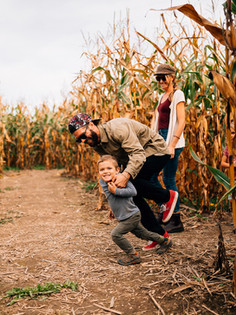 Corn Maize | Sherman Farm