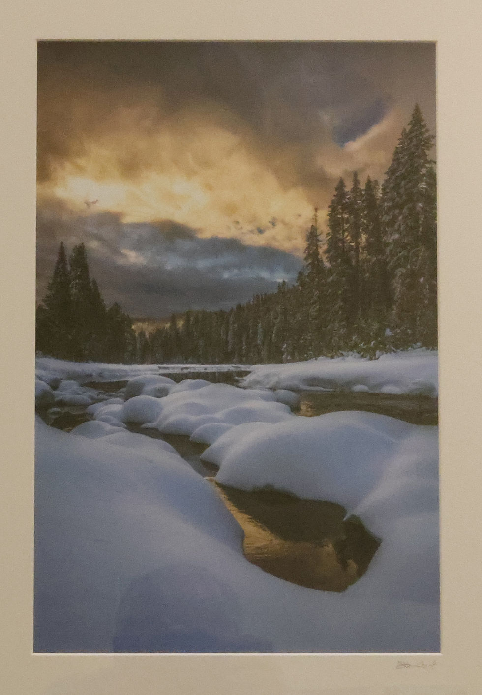 STC Gallery | fsvaa 2/4