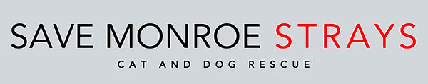 Cats | Save Monroe Strays | Adoptions