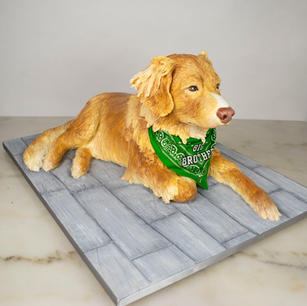 Sculpted Cakes | Melissa Alt Cakes