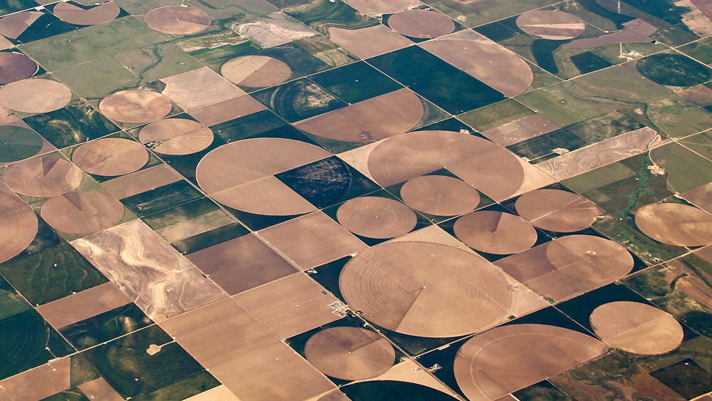 Corners & Crop Circles