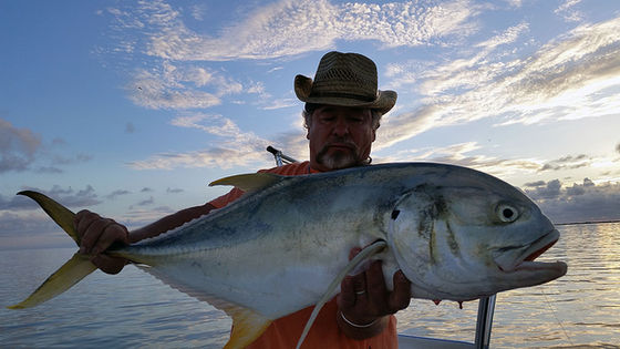 Photo Blog | Captain Tom Horbey