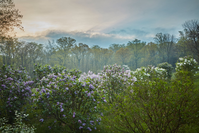 BIRD HAVEN FARM, with JANET MAVEC