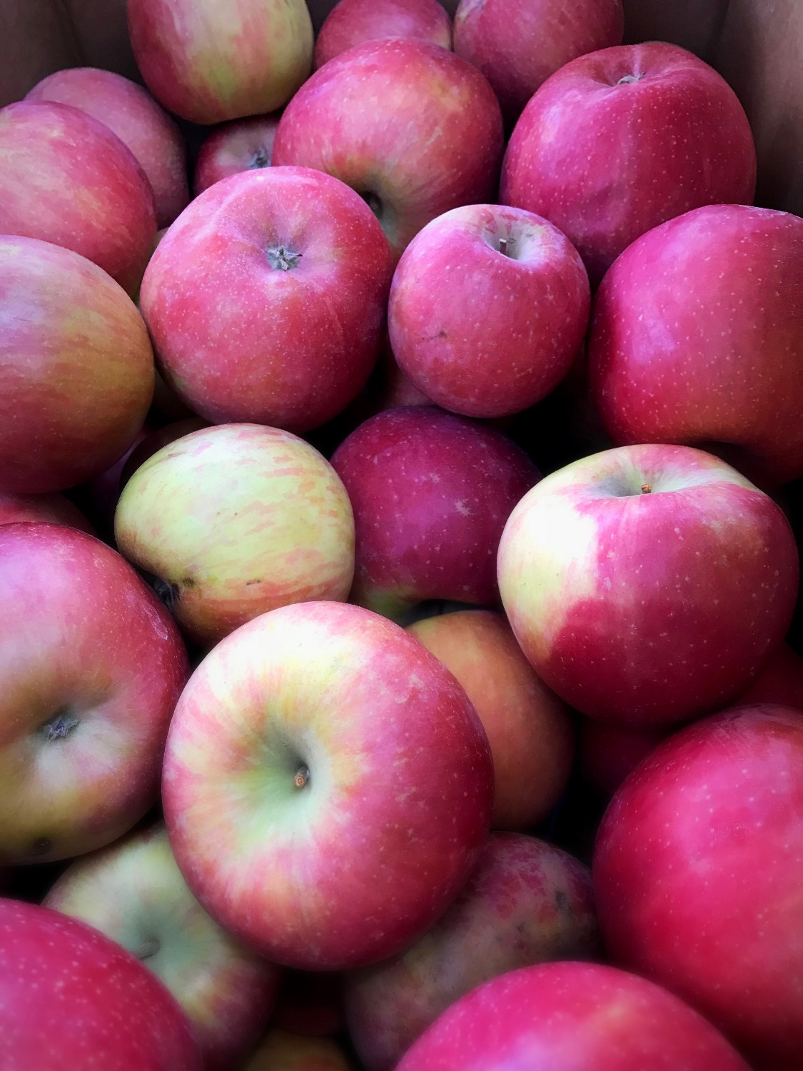 Home | California Fruit Company