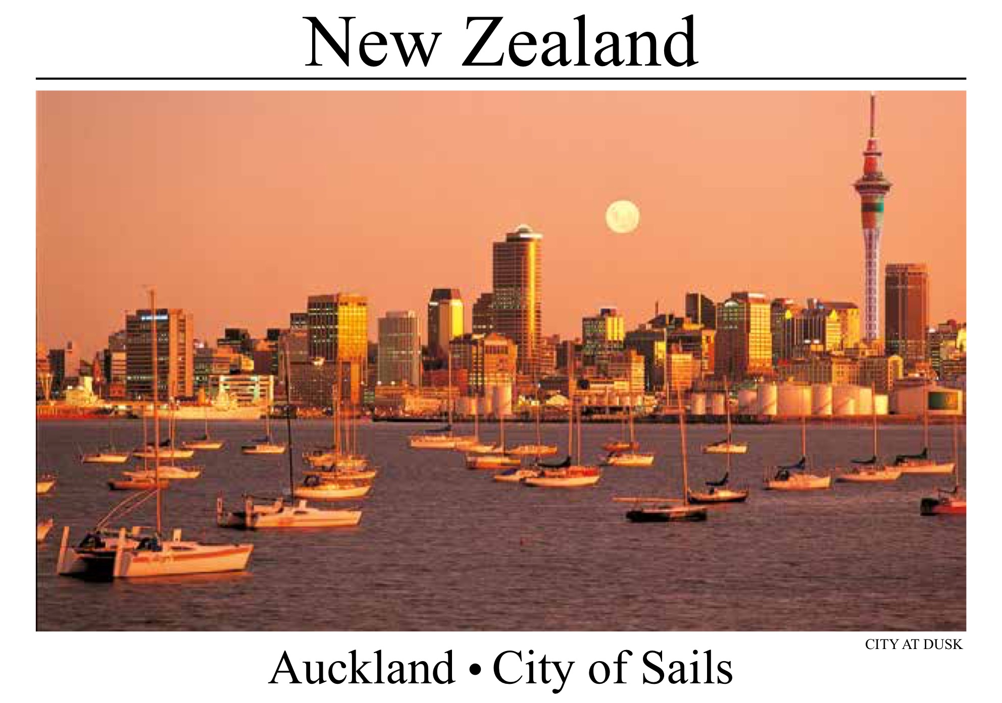 POSTCARDS | mysite