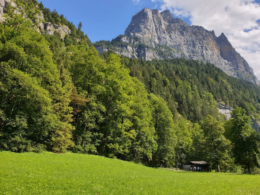 Los alpes Suizos | Pasea con nosotros