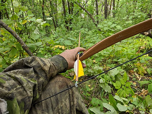 Deer Hunts | Shane Simpson Hunting