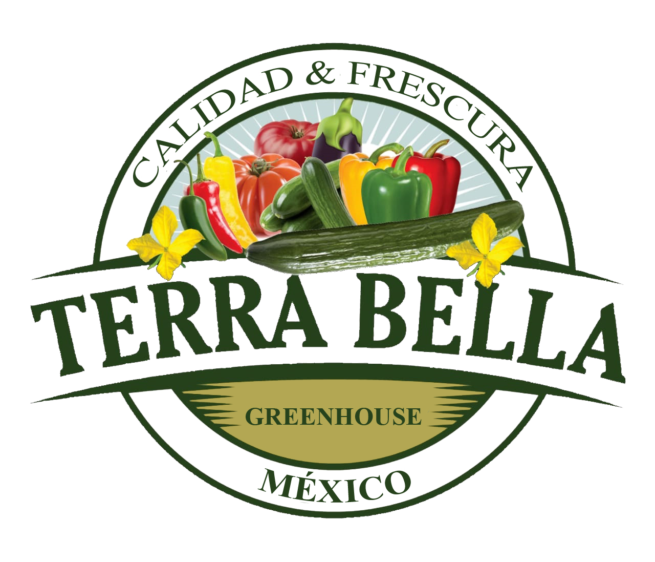 Socios Terrabella