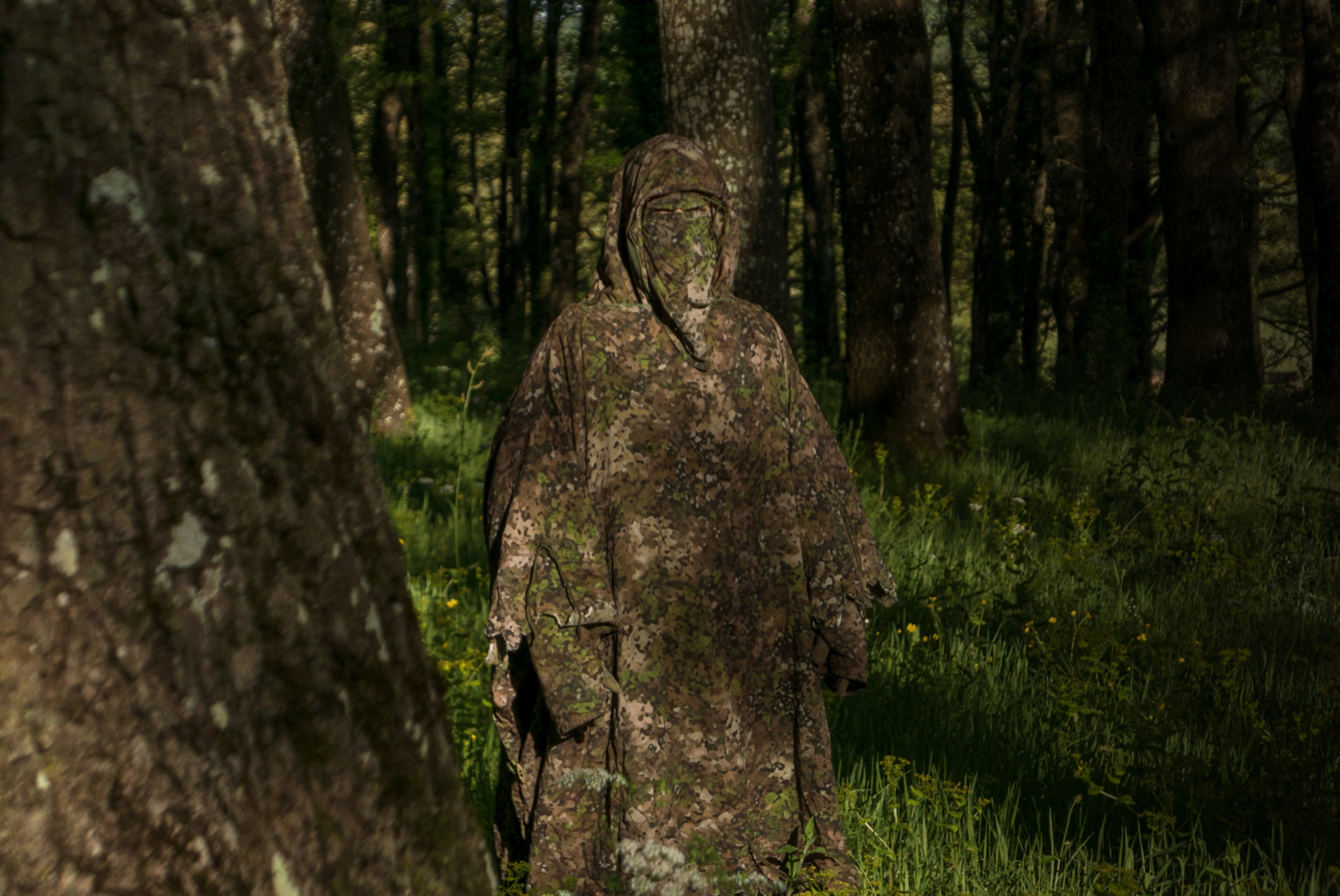 The NEMUS 2D Camouflage Pattern, a brief overview introducing this new ...