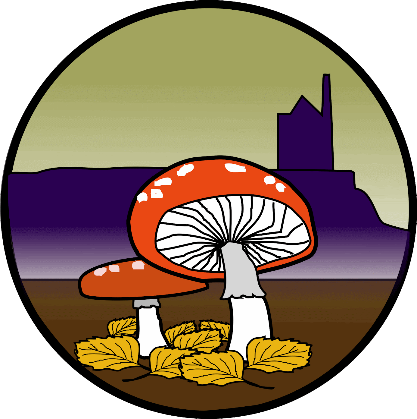 Gallery | Cornwall Fungus RG