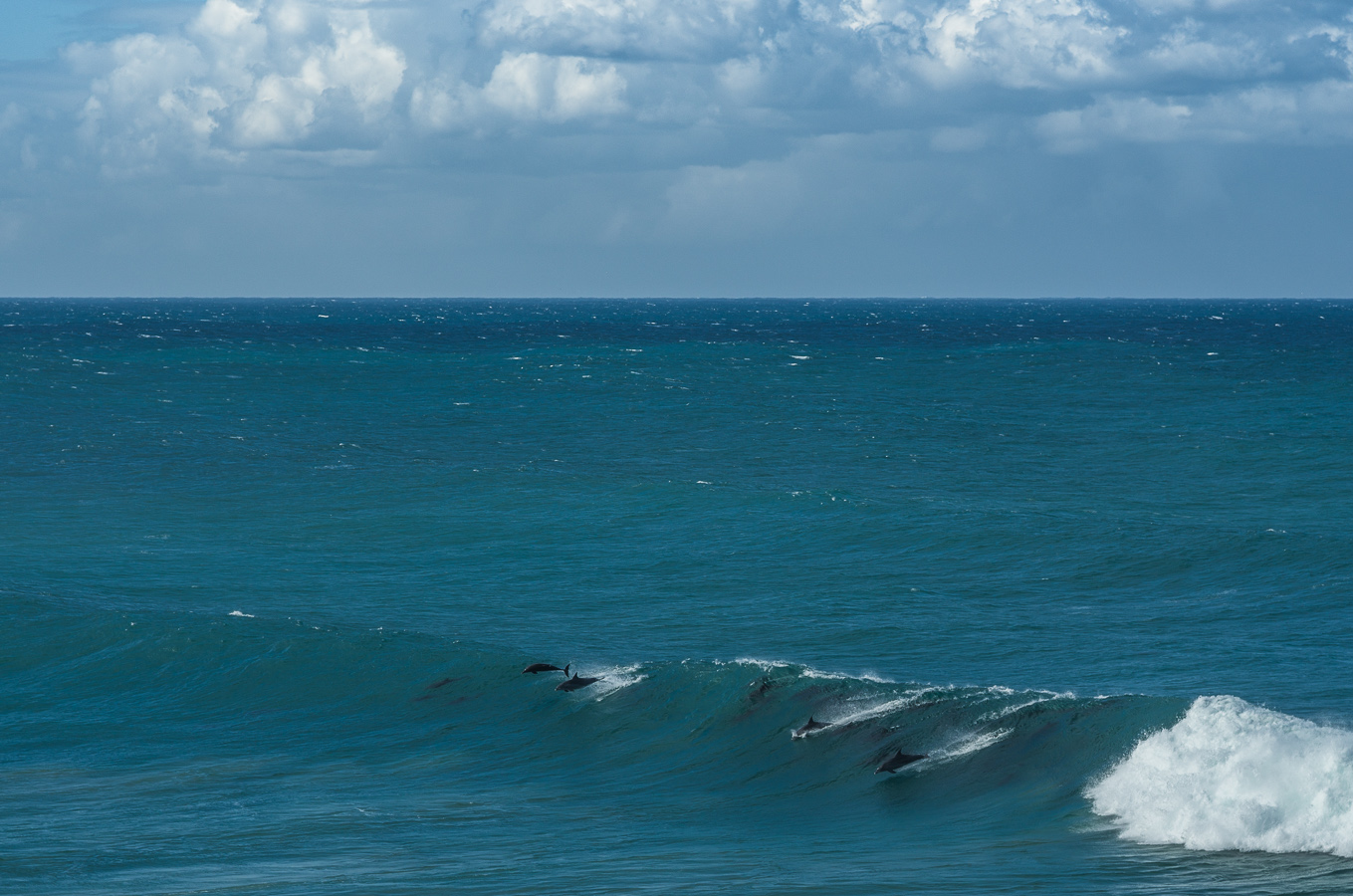 Mdumbi Backpackers | Wild Coast Accommodation | Eastern Cape