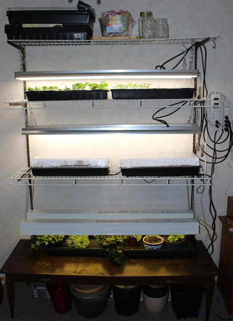 Indoor Seed Starting Setup