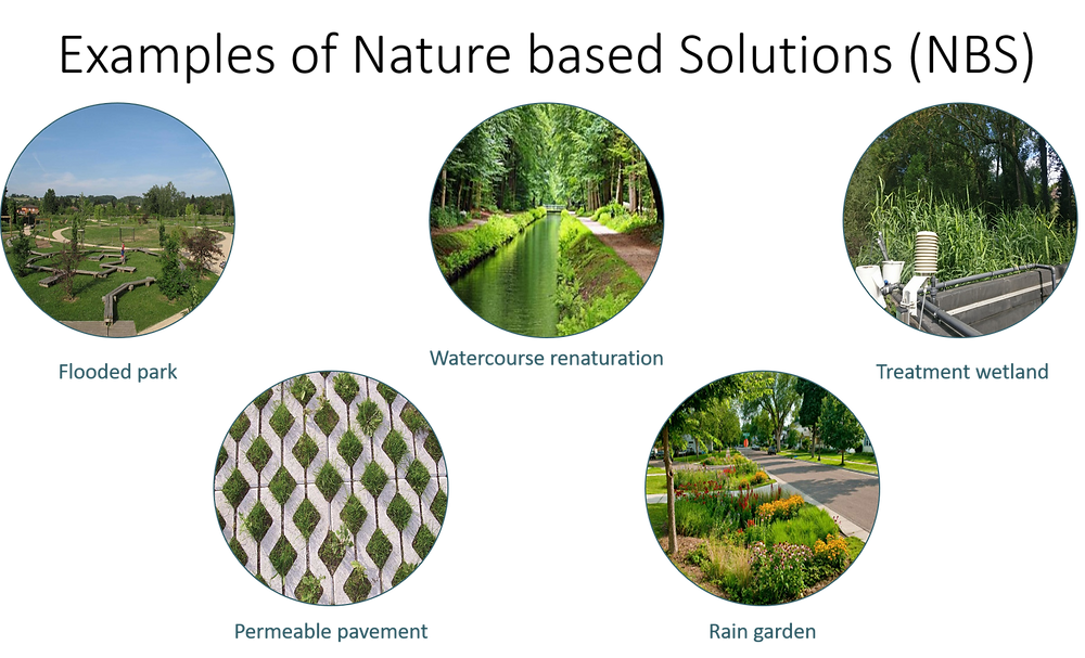 Nature based solutions (NBS)