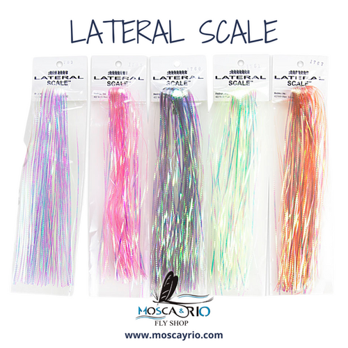 HARELINE LATERAL SCALE | MOSCA Y RIO