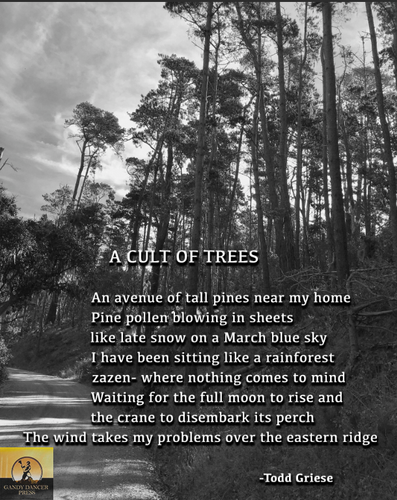 A Cult of Trees | online