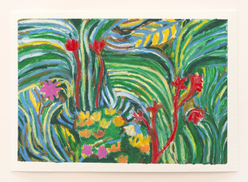 'Kangaroo Paws' Limited Edition | Victoria Sozzi