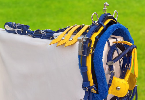 QUICK HITCH BIOTHANE HORSE DRIVING HARNESS BLUE & YELLOW COLOUR ...